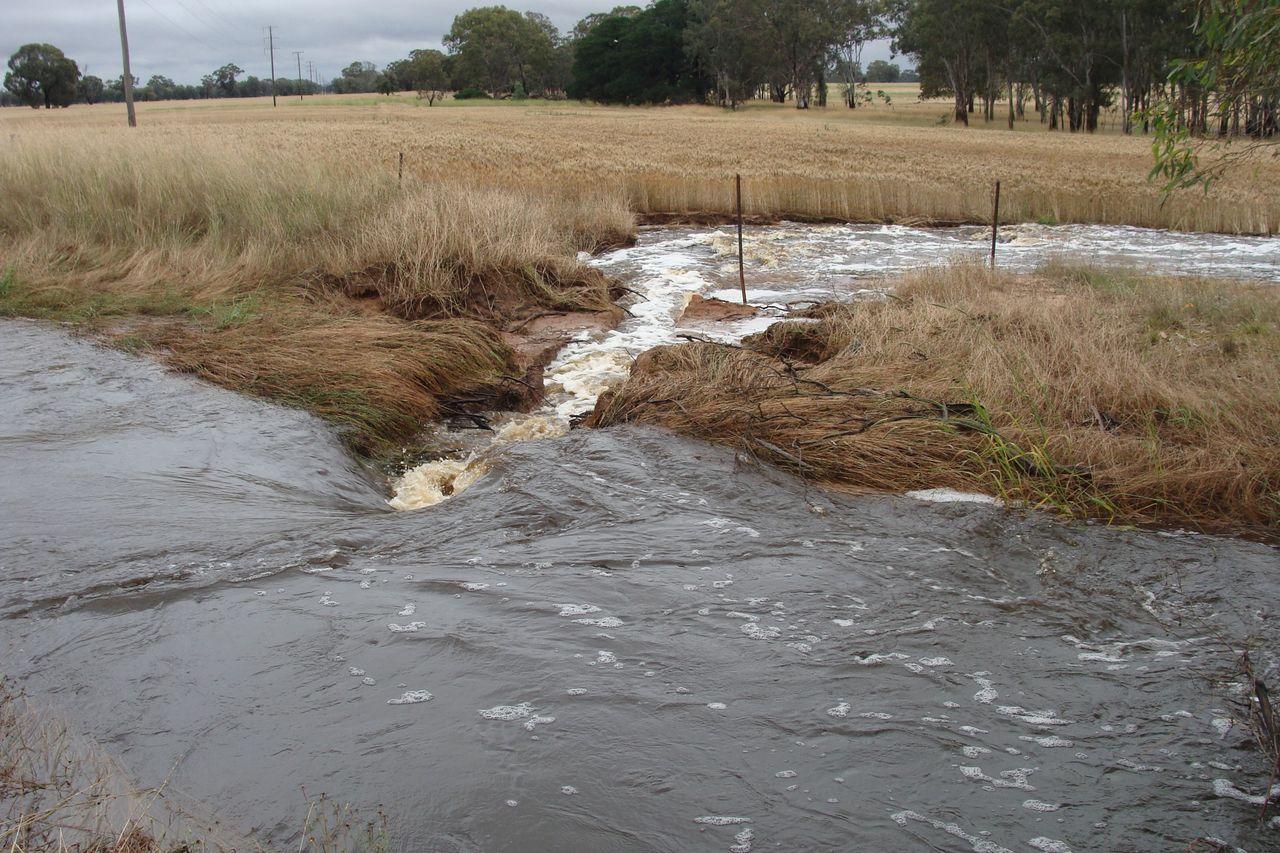 Rain ruins crops in western Victoria - ABC News