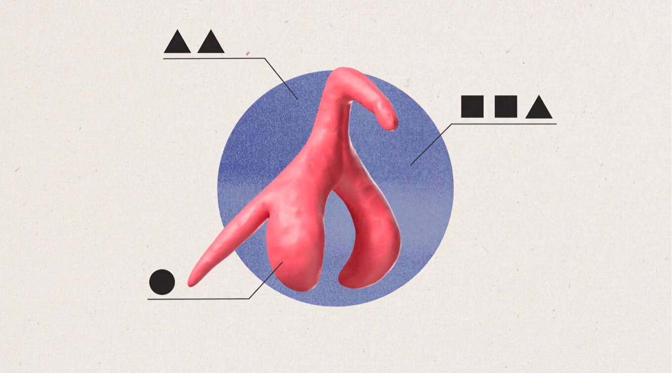 Getting to know 'normal' labia as interest in labiaplasty grows among ...