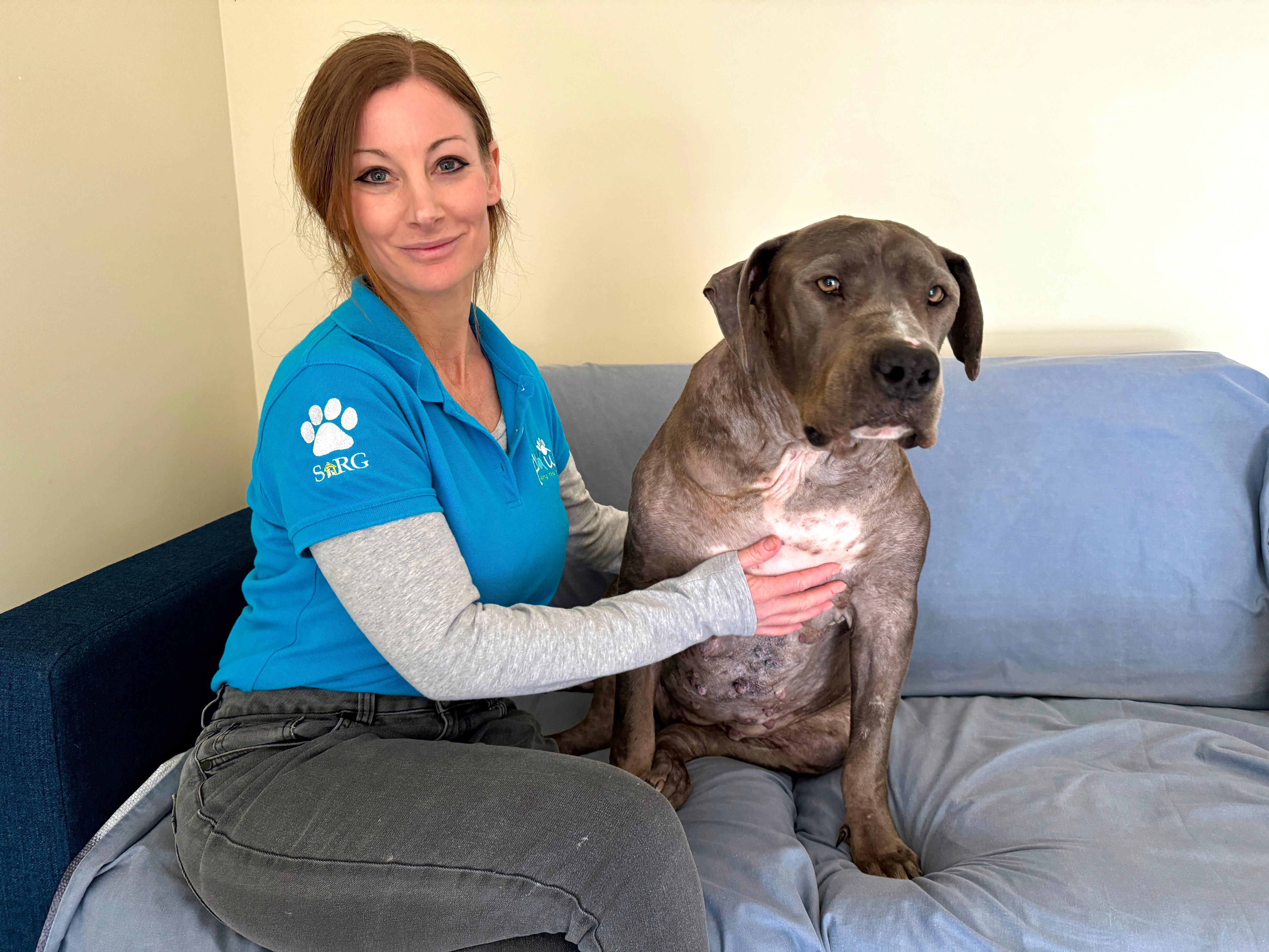 Sunraysia Animal Rehousing Group calls for volunteers to save abandoned ...