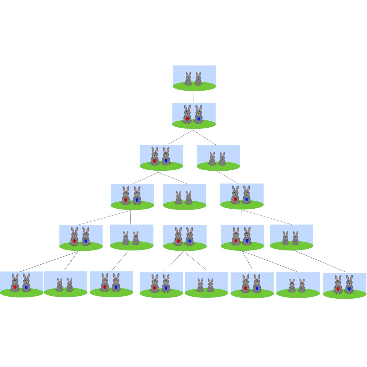 How Fibonacci and the golden ratio can make your garden beautiful - ABC ...