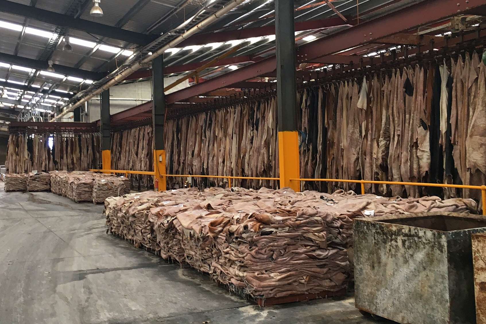 Queensland hide processor reduces waste to just one skip a week - ABC News