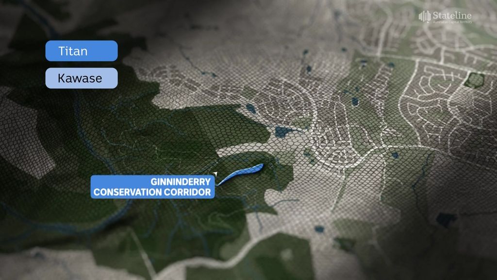 Canberra Snake Tracking Project graphic - ABC News