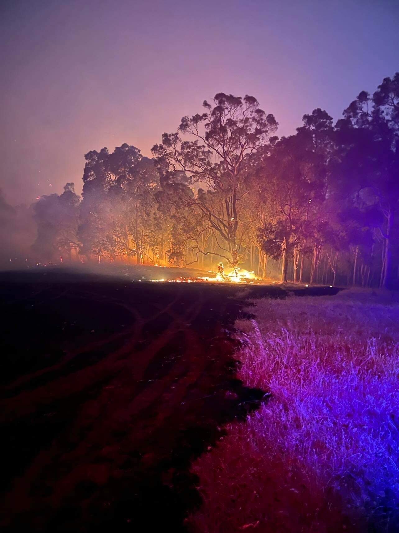 Family who lost home to bushfire near Donnybrook in WA tell of lucky ...
