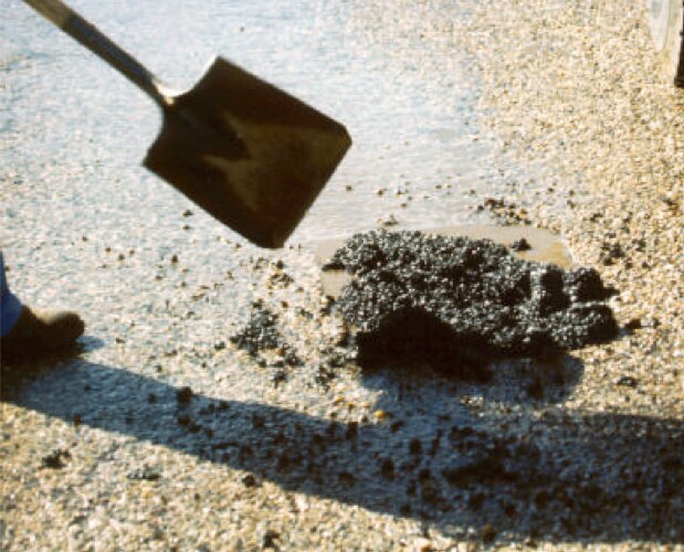 Albany residents warned not to become victims of 'bitumen bandits' scam ...