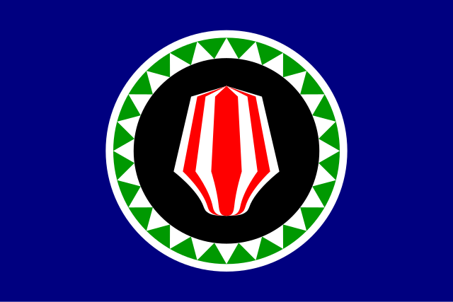 'Bluetoothing' blamed for HIV Aids outbreak in Fiji - ABC Pacific