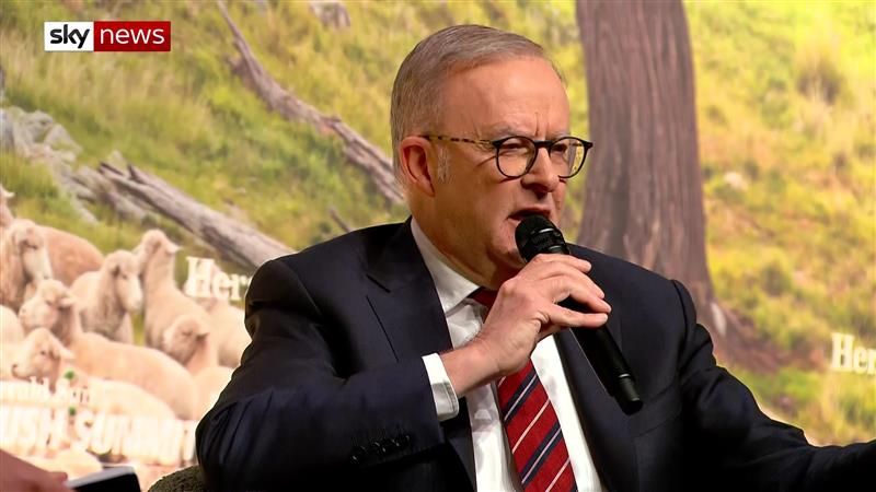 Microalgae toxic to fish identified as cause of bloom linked to ...