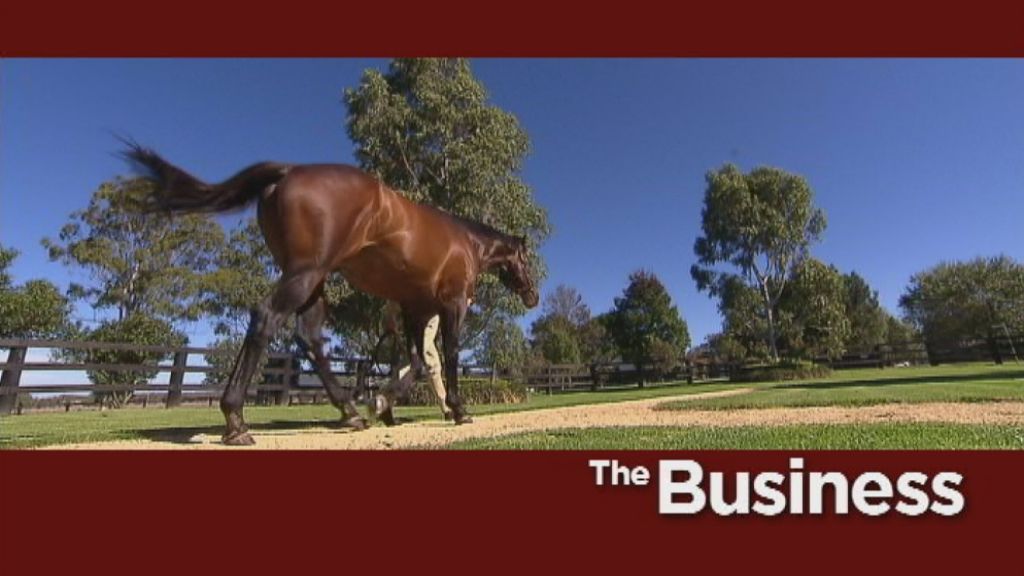 Back in the saddle: Has Australia's bloodstock industry turned the ...