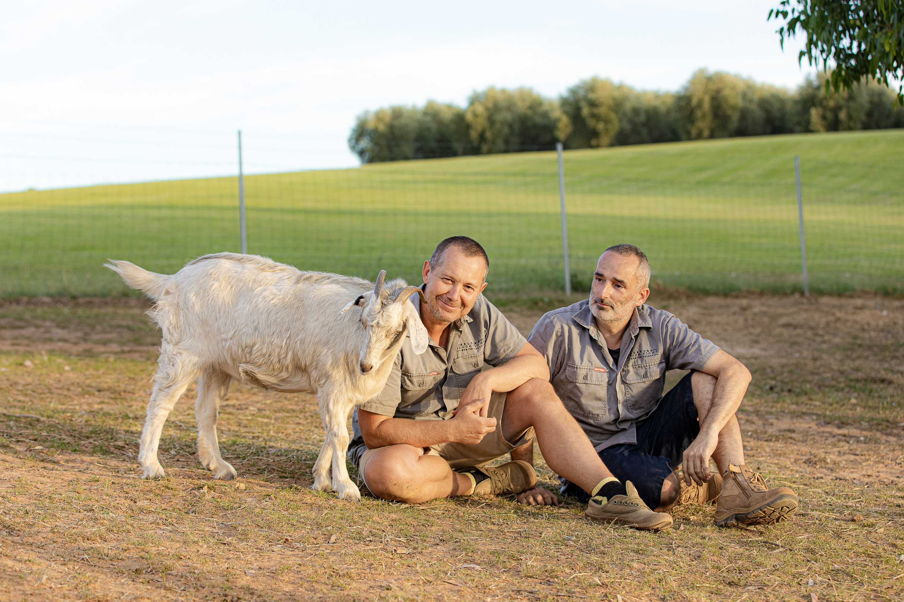 You've got to be kidding: how to know when your goat's on heat and ...