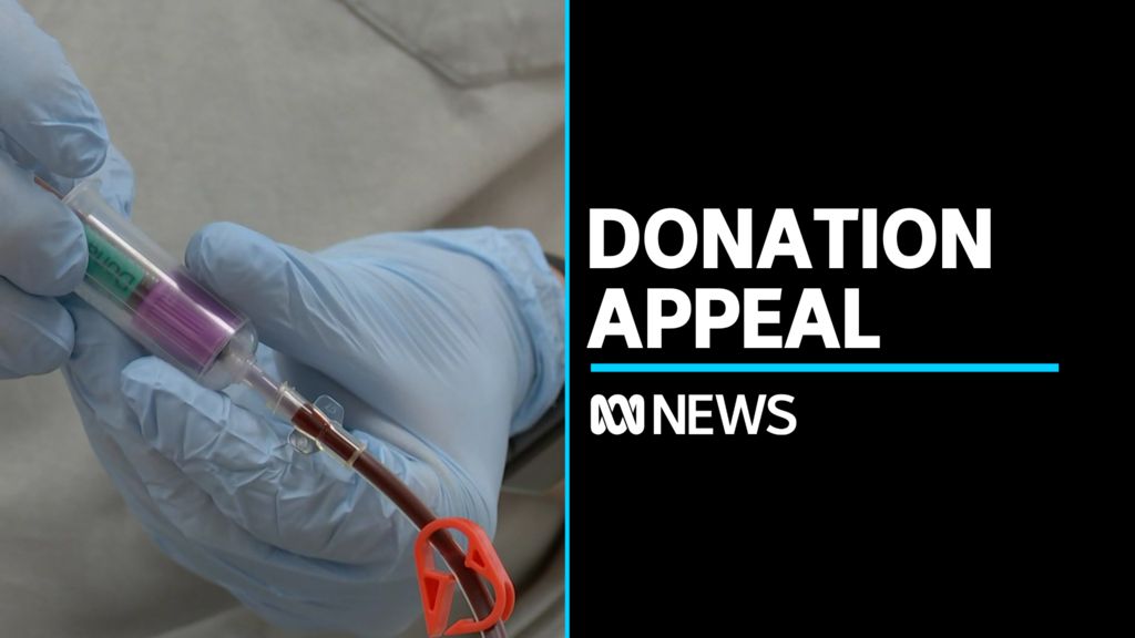 Australians are being urged to donate blood this holiday season - ABC News