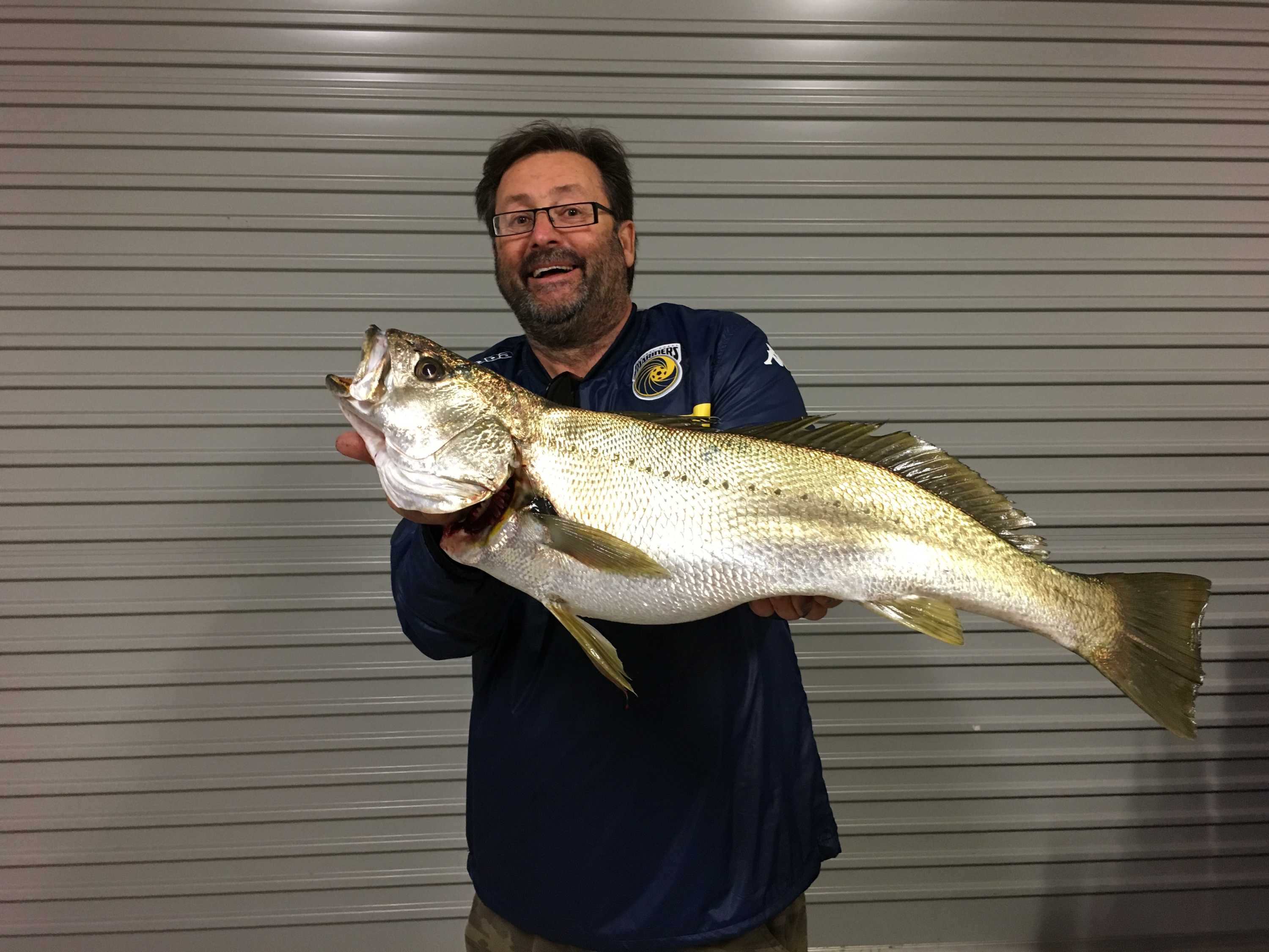The Big Fish Stormwater Mulloway - ABC listen