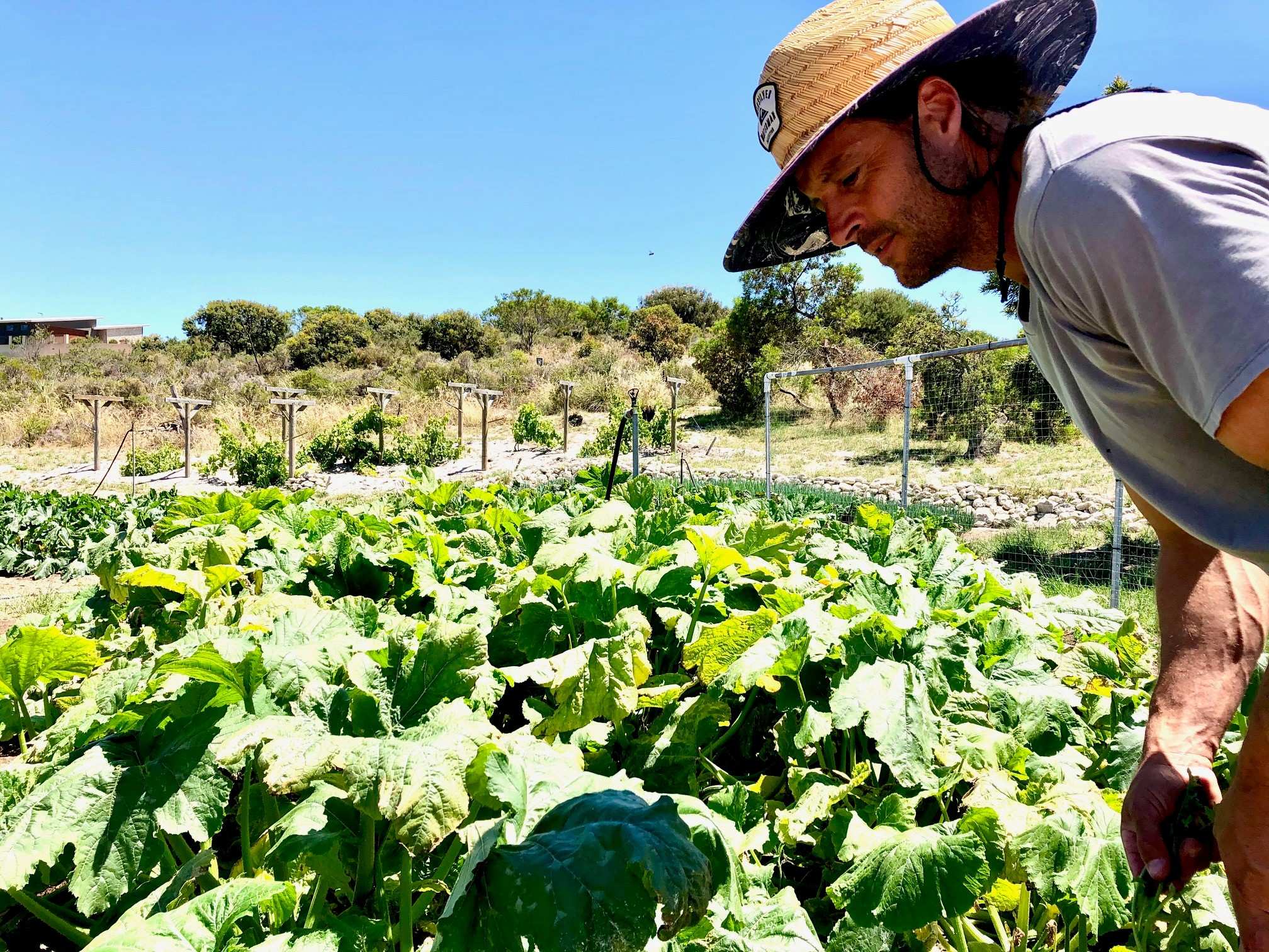Neighbours and The Heights actor Dan Paris turns Esperance farmer in ...