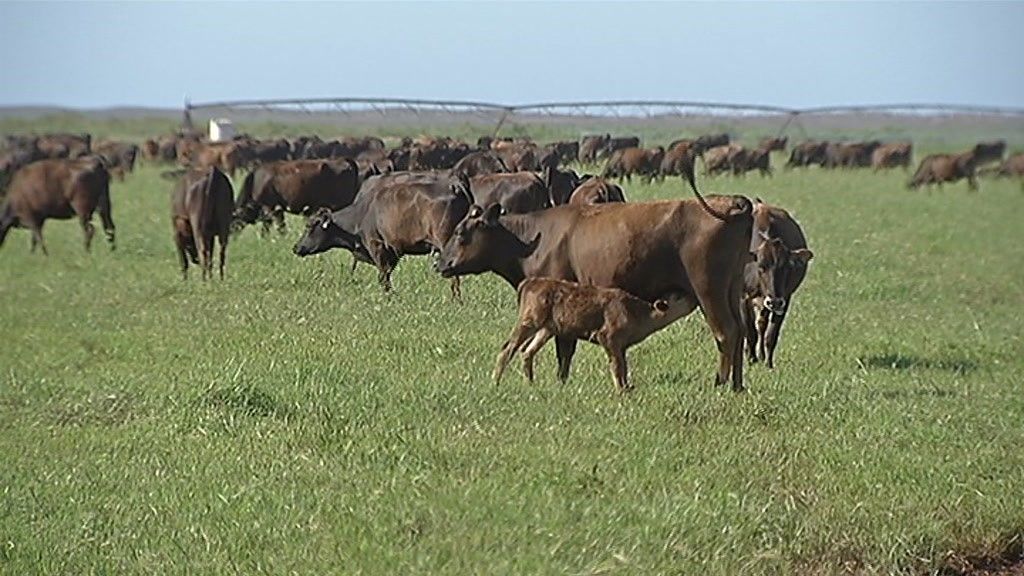 Just Add Water: An oasis in the Pilbara a possible game changer for WA ...