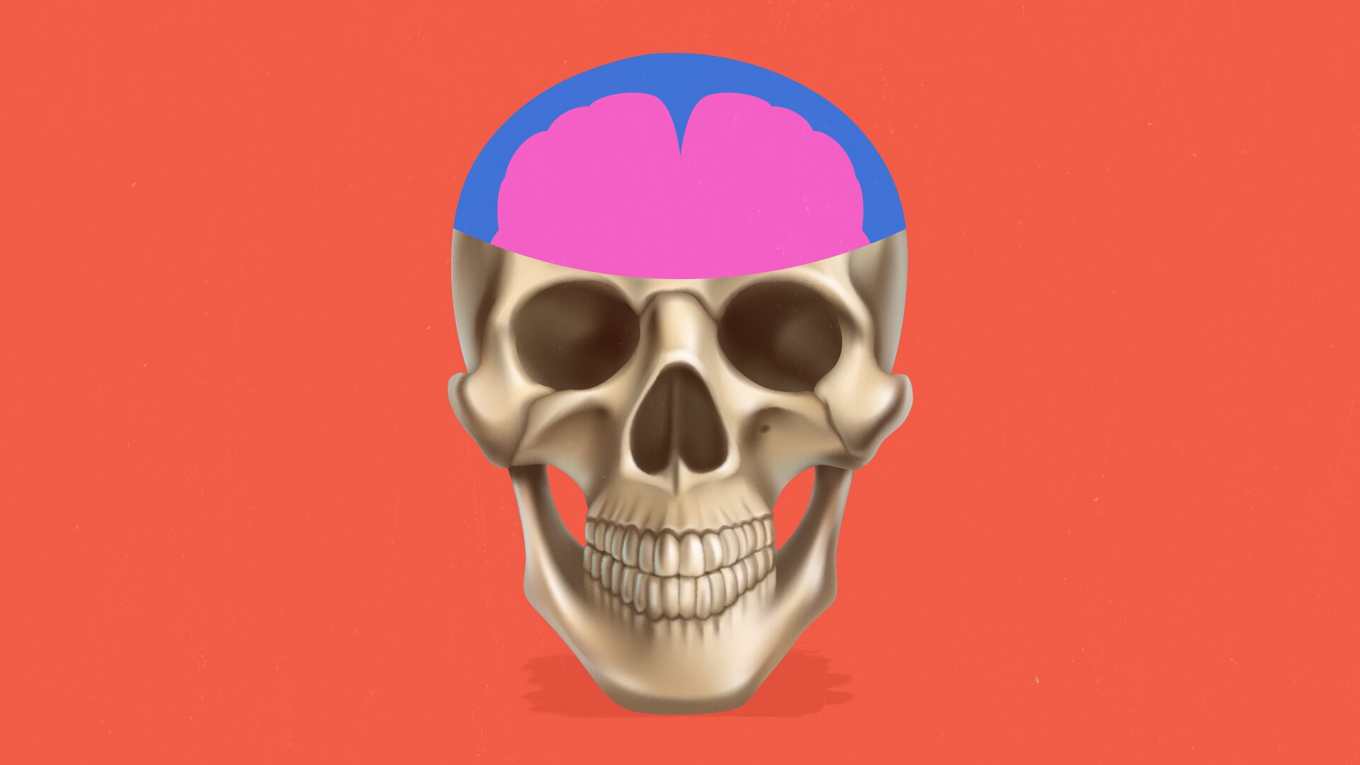 Musculoskeletal system - ABC Education