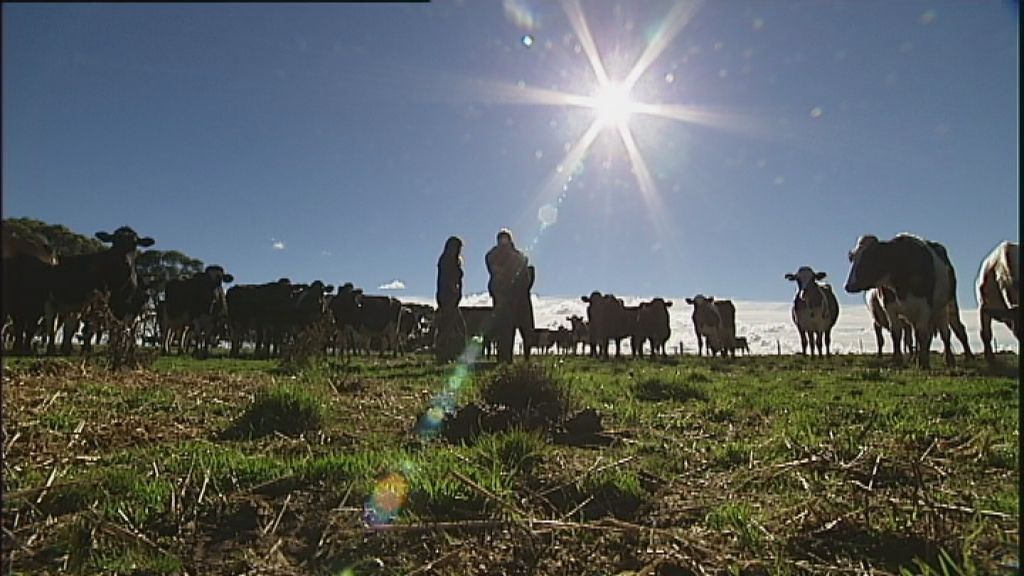 Victorian farmers confront common enemy - ABC News