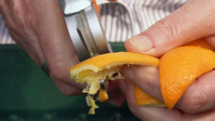 FAQs - Grafted Trees | Orange Peel in Compost | Lime and Manure ...