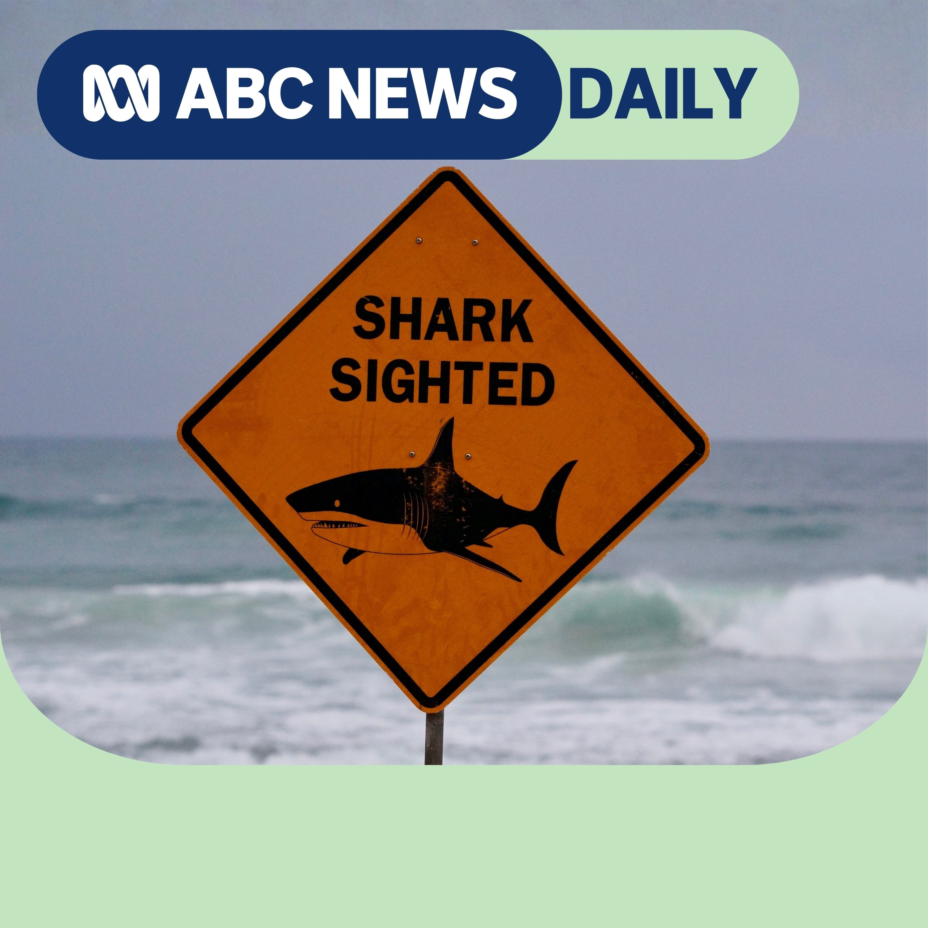 What caused the surge in shark attacks? - ABC listen