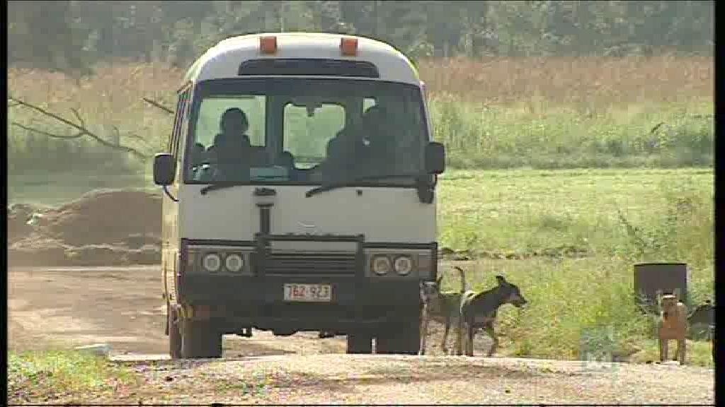 Bush taxi driver calls for remote bus service - ABC News