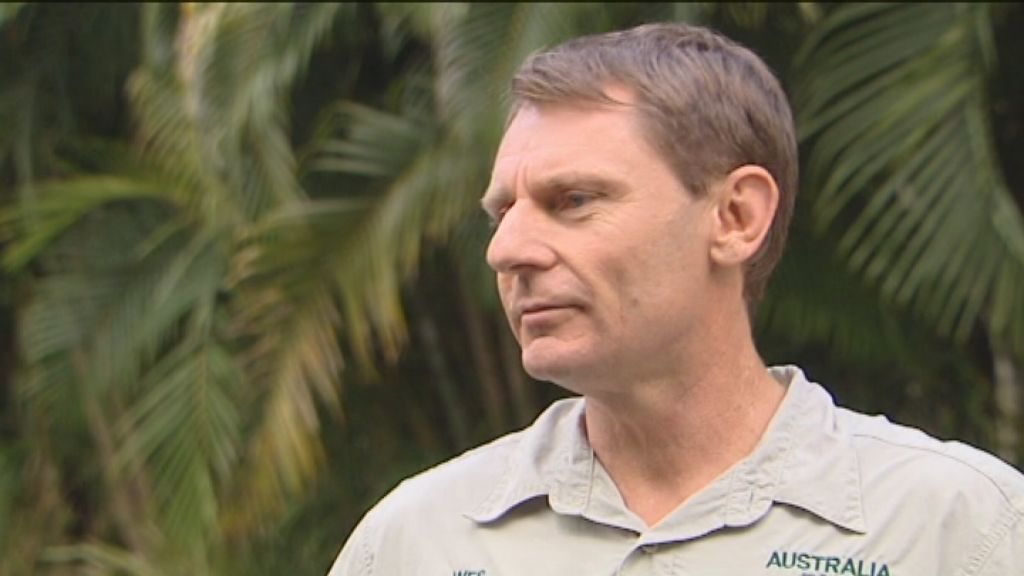 Tiger handler mauled at Australia Zoo - ABC News