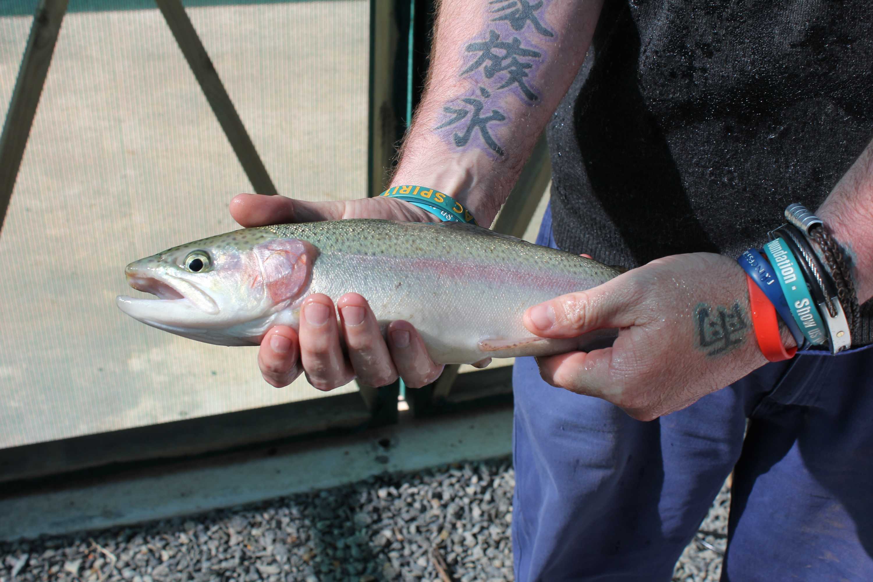 Aquaponics at WA prison gives inmates a 'reason to get out of bed every ...