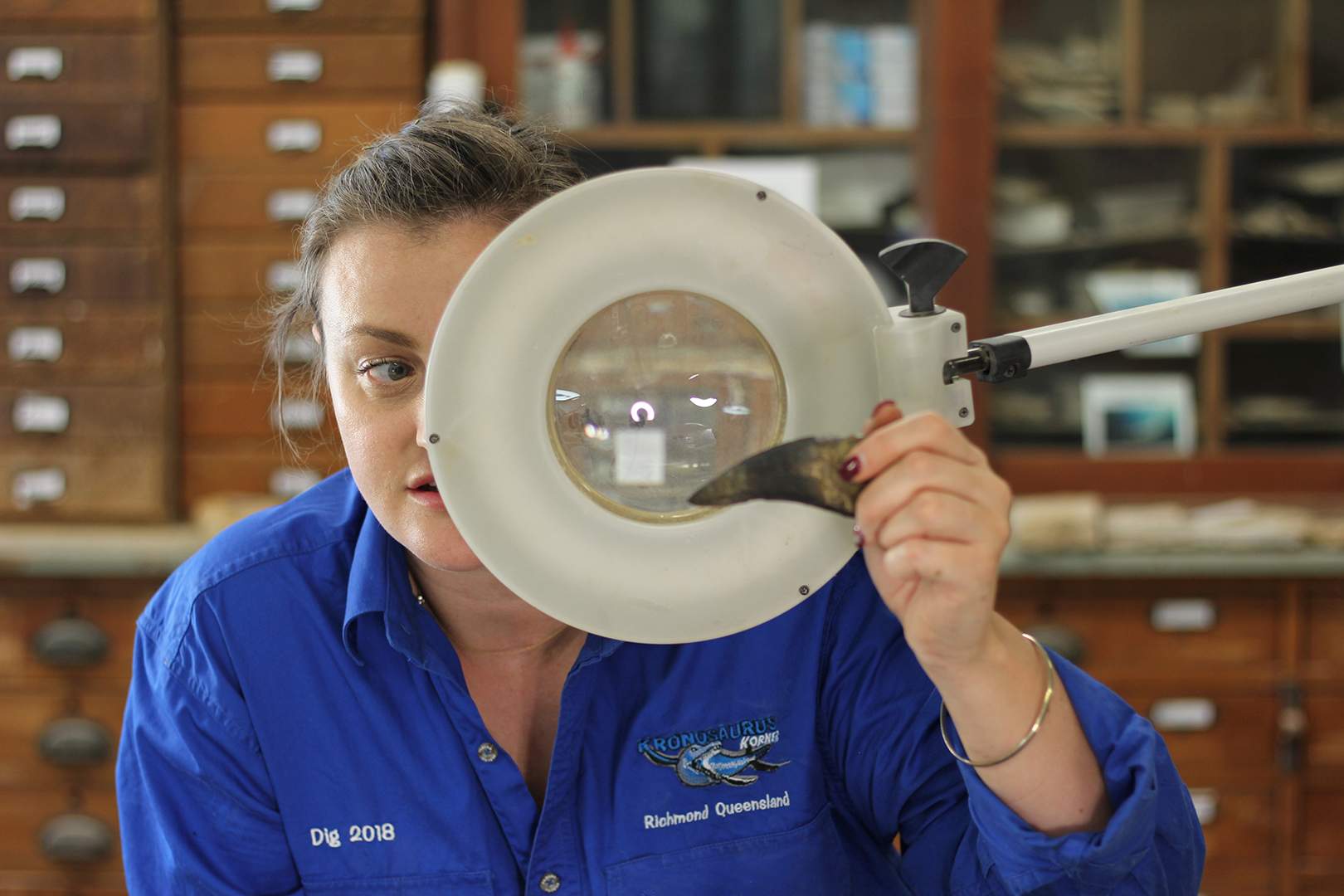 Fossil fossickers flock to outback Queensland for Richmond's Big Dig ...