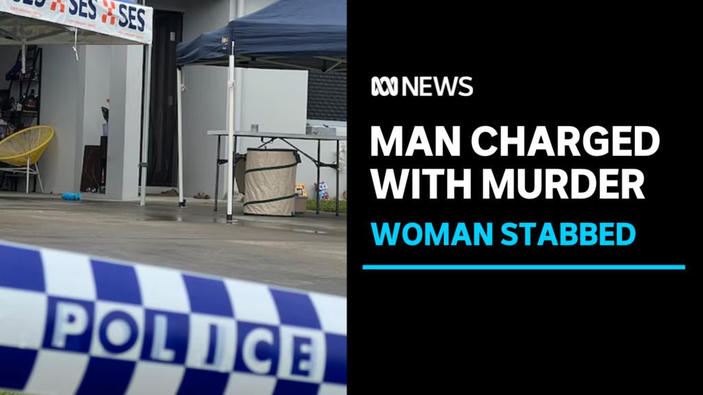 Woman dead after alleged domestic violence-related stabbing - ABC News