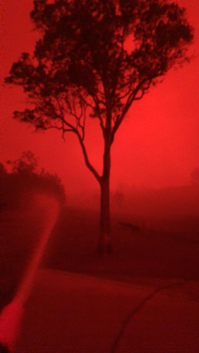 Farmers reeling in aftermath of the most terrifying firestorm they've ...