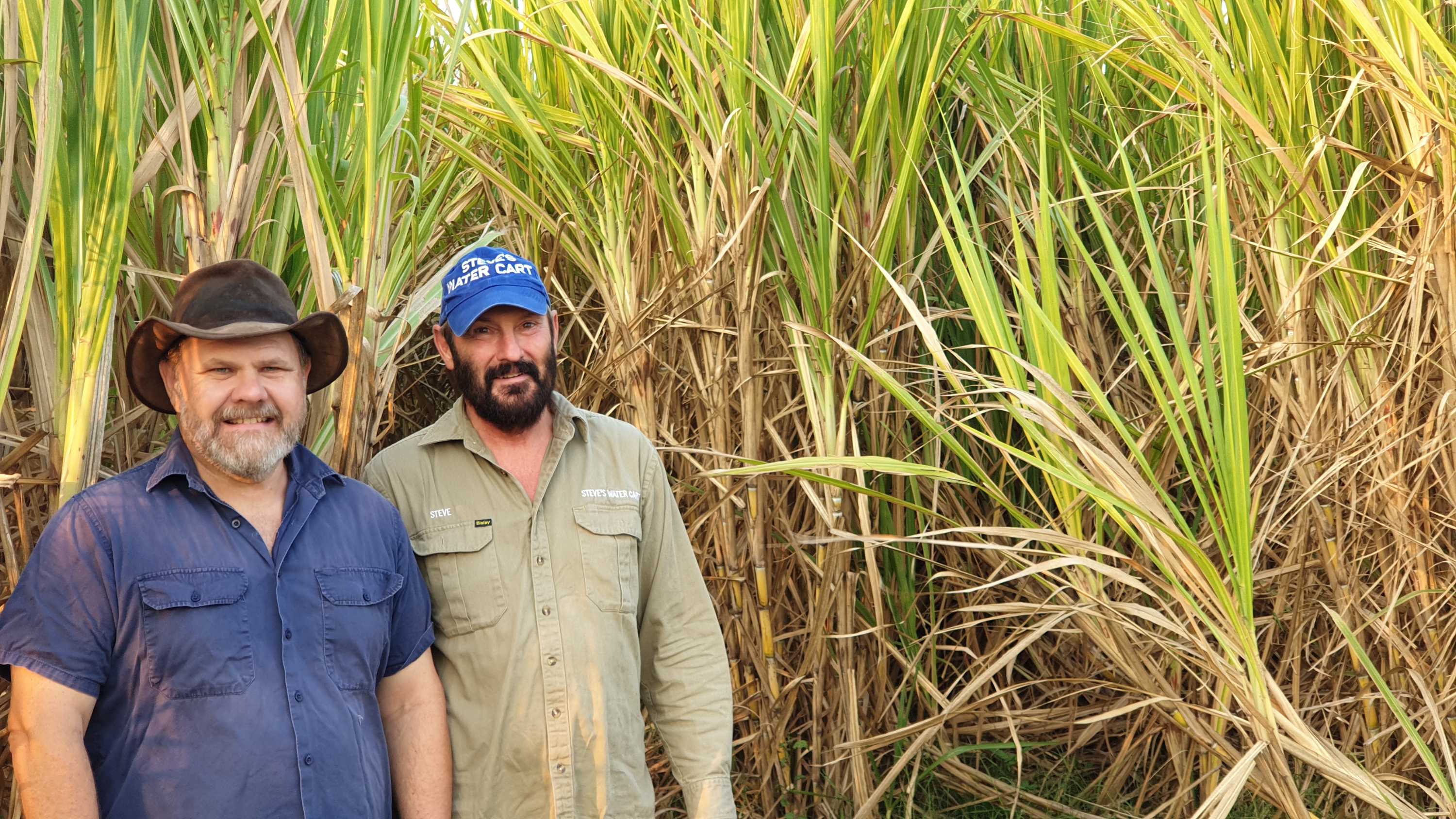 Moving back home to the Northern Rivers - ABC listen