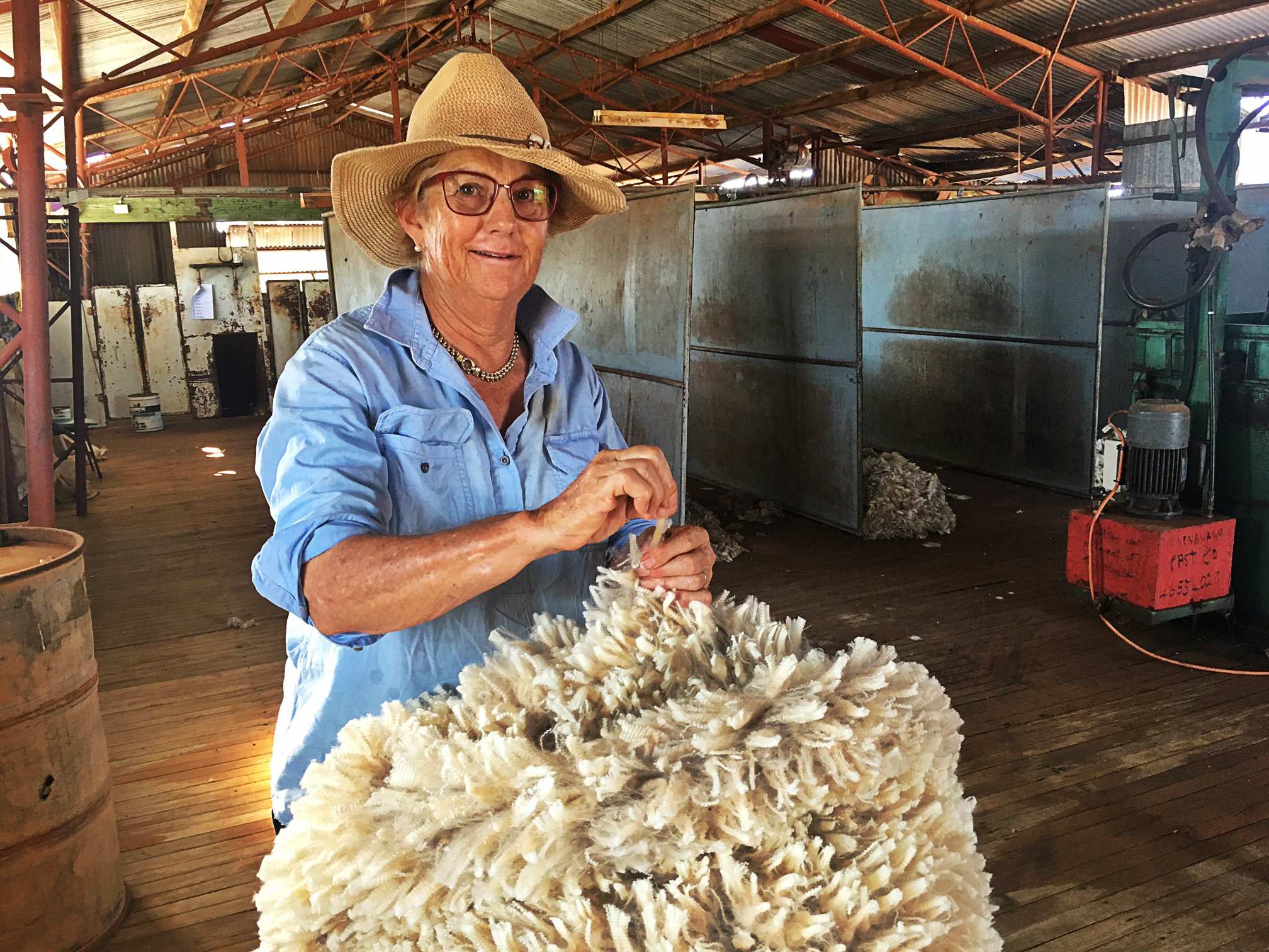 Invisible Farmer: Flying grazier Carol Godfrey blazes trail for women in farming - ABC News