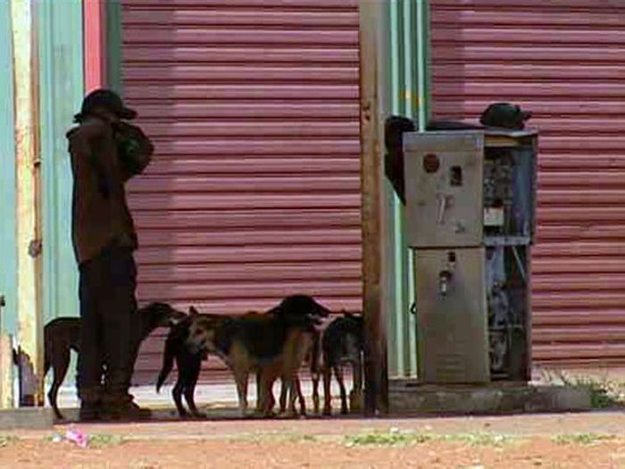 Petrol Sniffing - Topic - ABC News