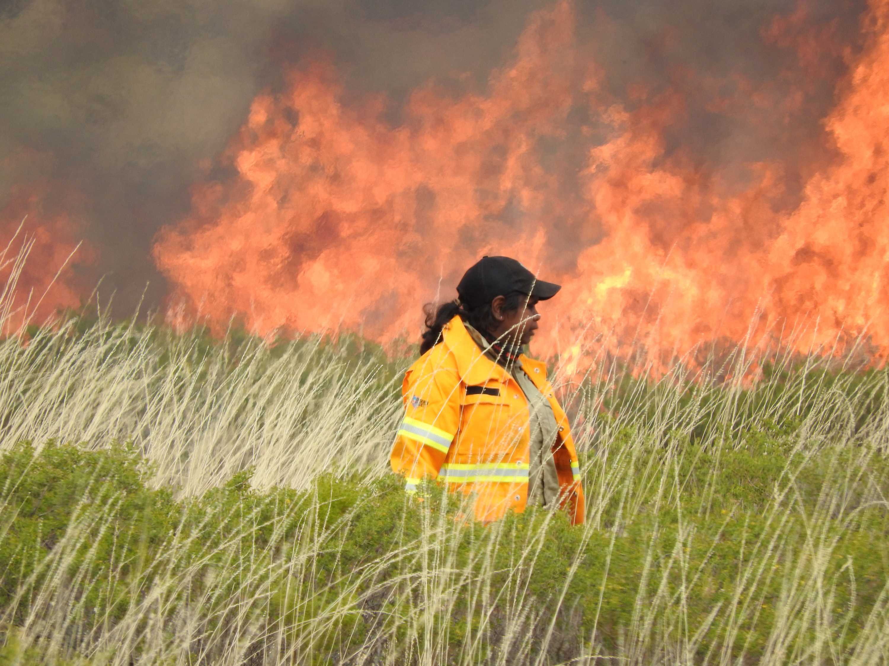 Aboriginal traditional burning expert hired for key role in growing ...