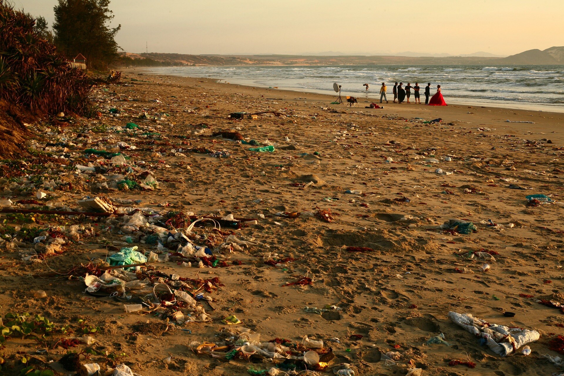 Do we need a new campaign to combat littering? - ABC listen