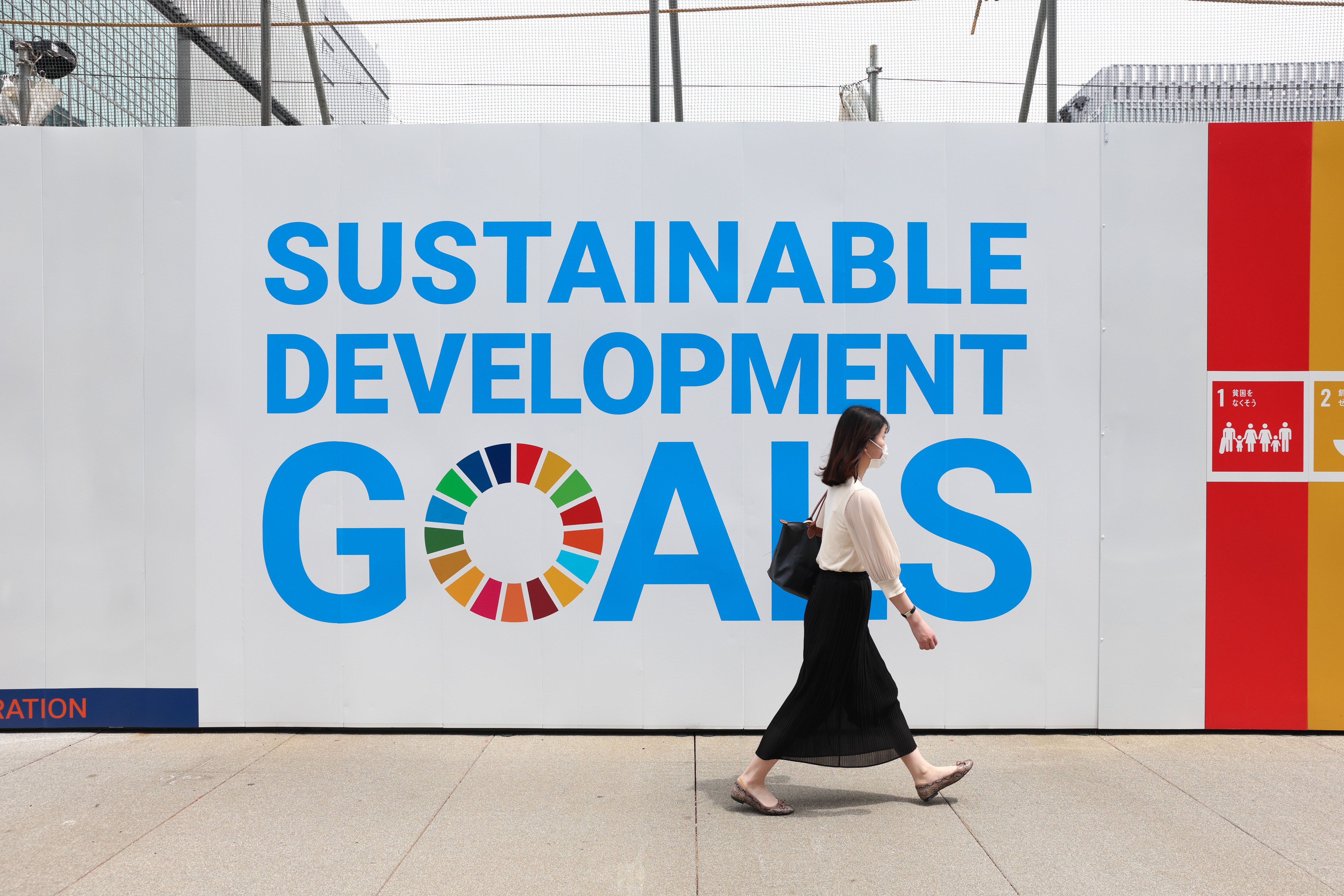 Sustainable development won't solve environmental crises, say these ...