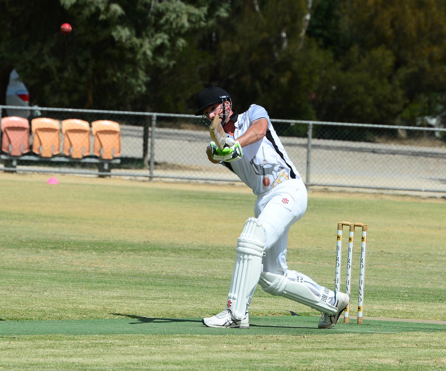Former Australia bowler Shaun Tait on why he went back to country ...