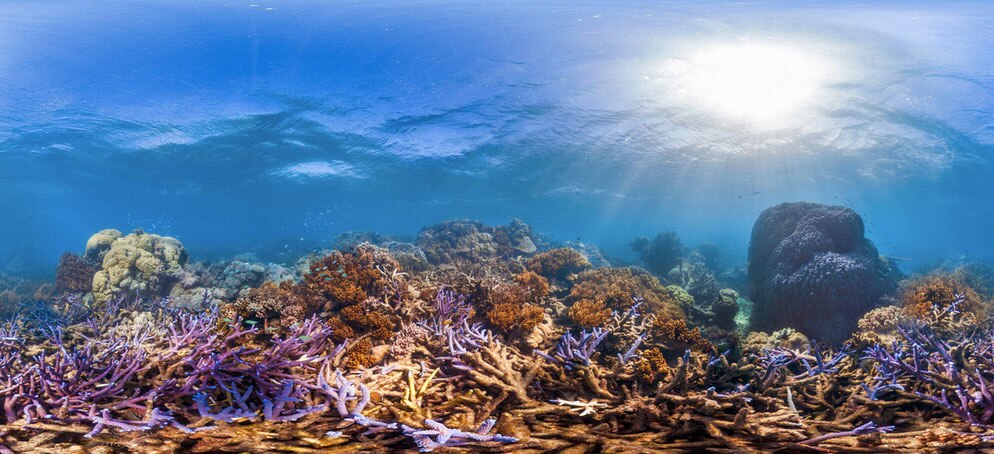 ABC Rural - ABC News