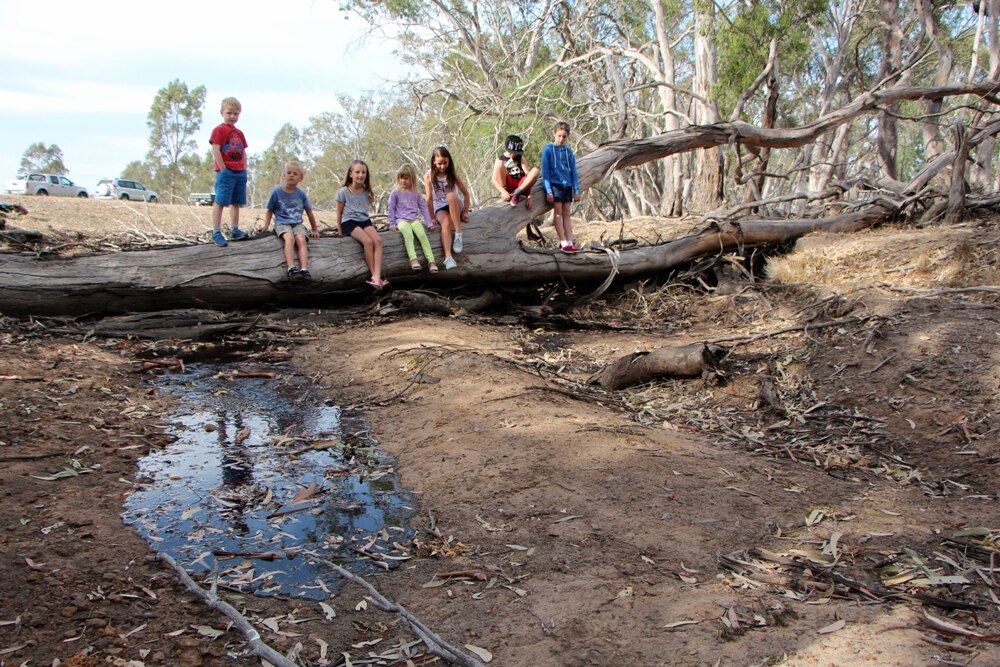 Rural Reporter - ABC listen