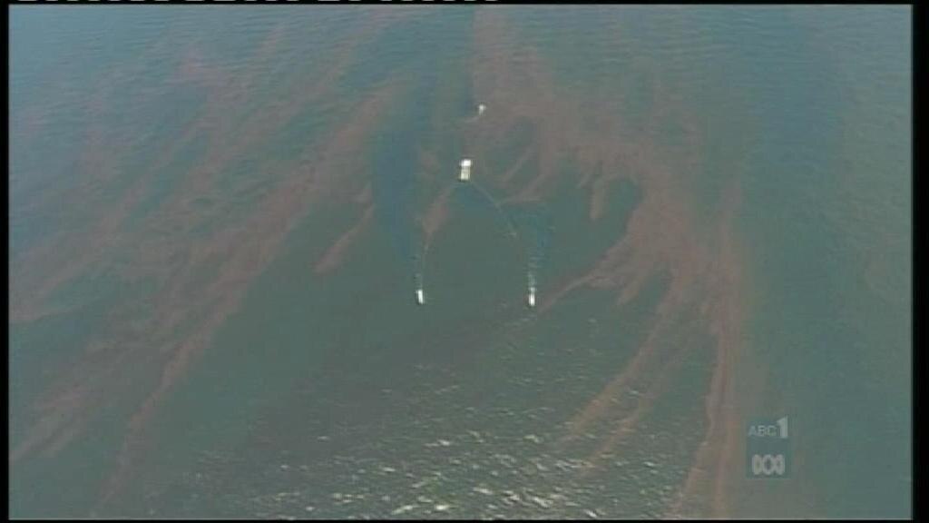 Oil spill declared national disaster - ABC News