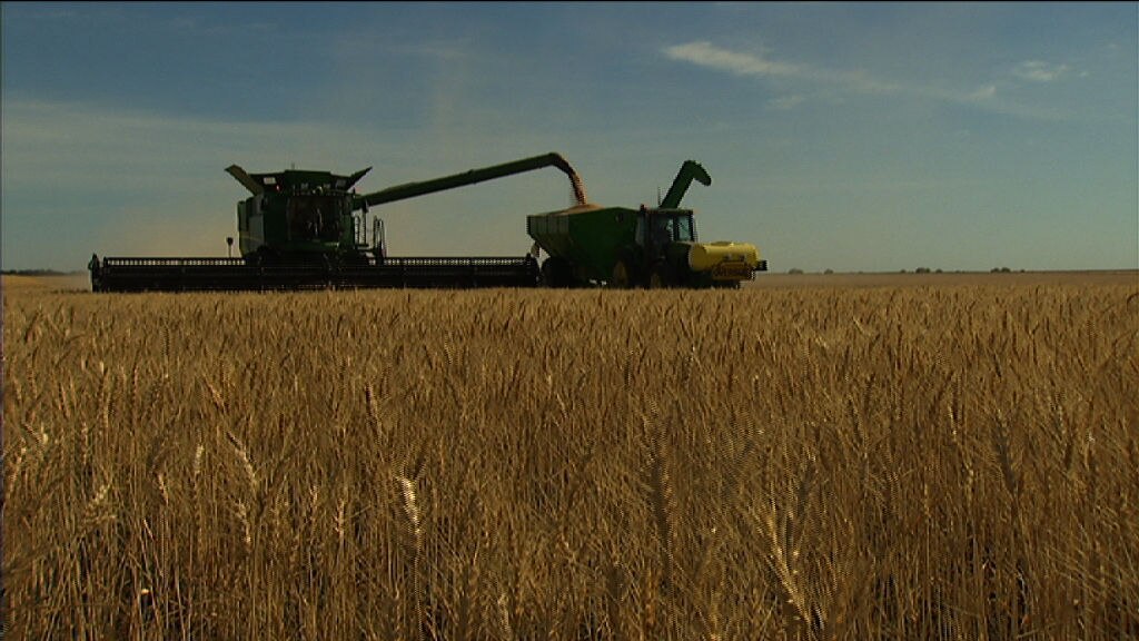 Organic Shortfall - ABC News