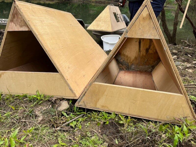 Success in fish nesting boxes create hope for endangered eastern ...