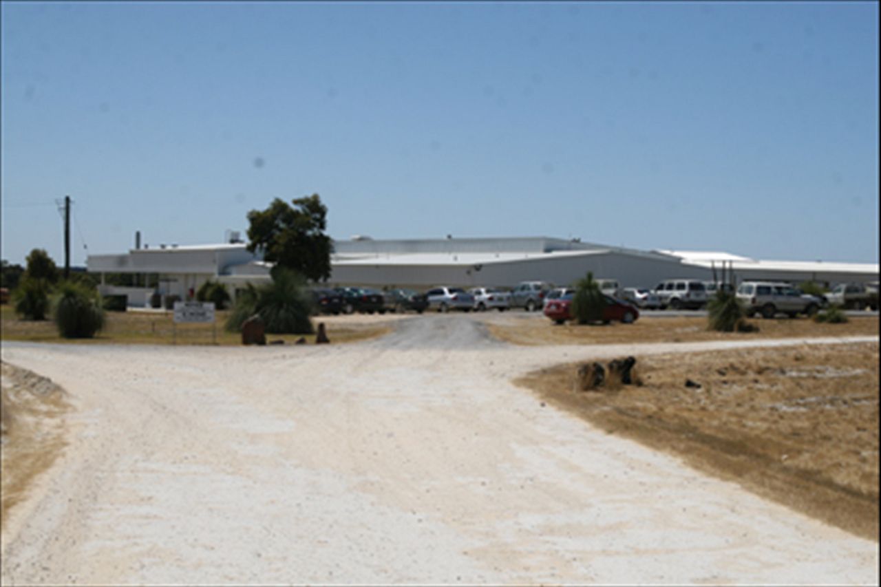 Gingin Abattoir starts processing sheep - ABC News