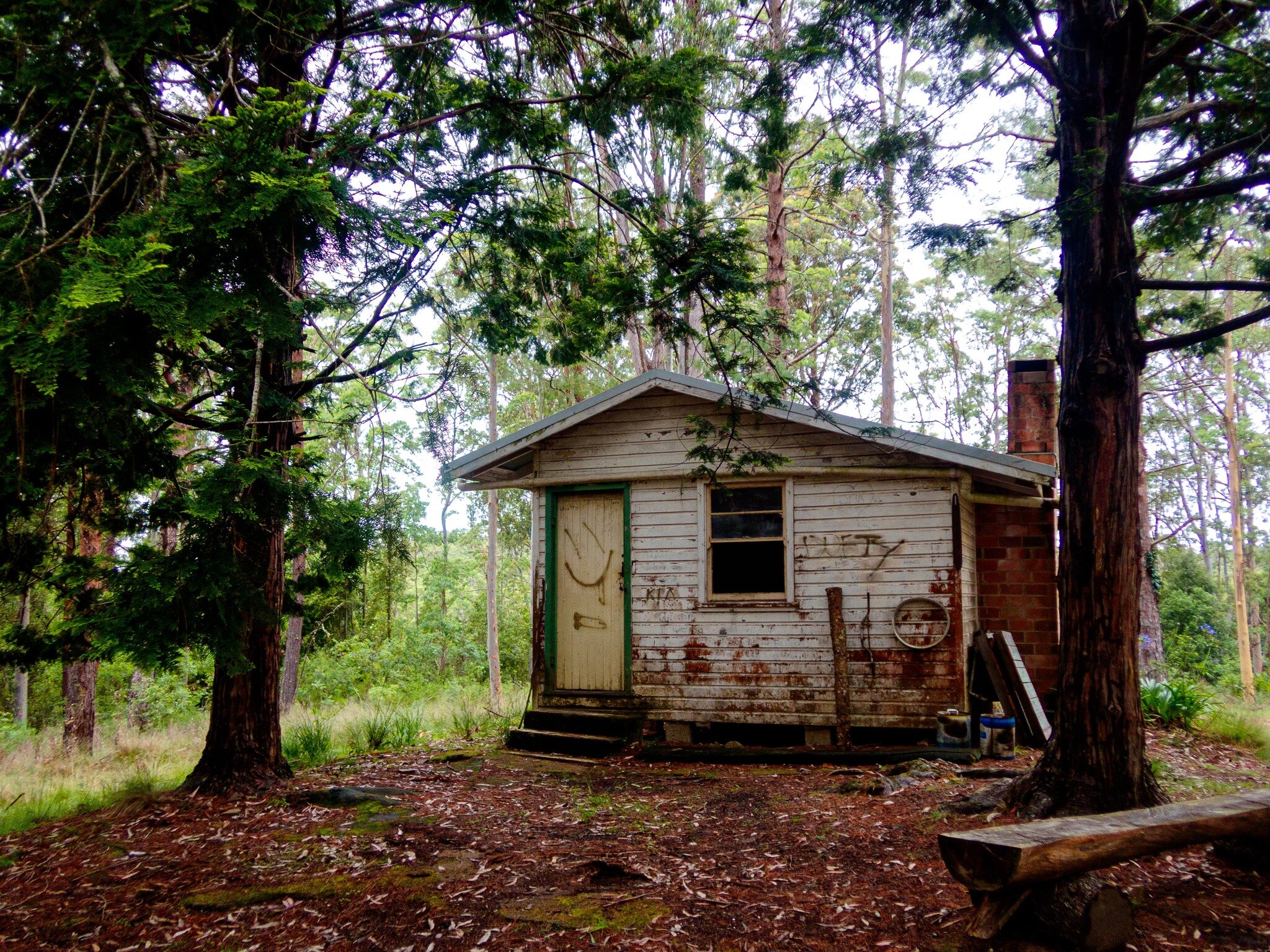 Rohen James Hanson trial begins over the alleged 2021 murder of his ...