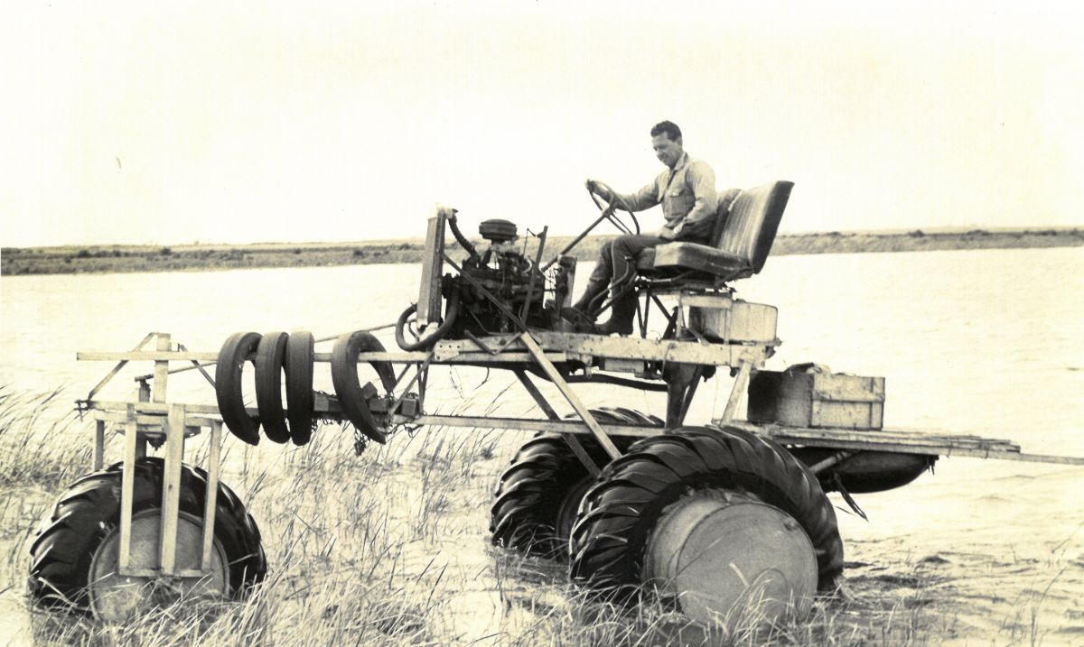 How do you run cattle and sheep in a swamp? This farm has done it for ...