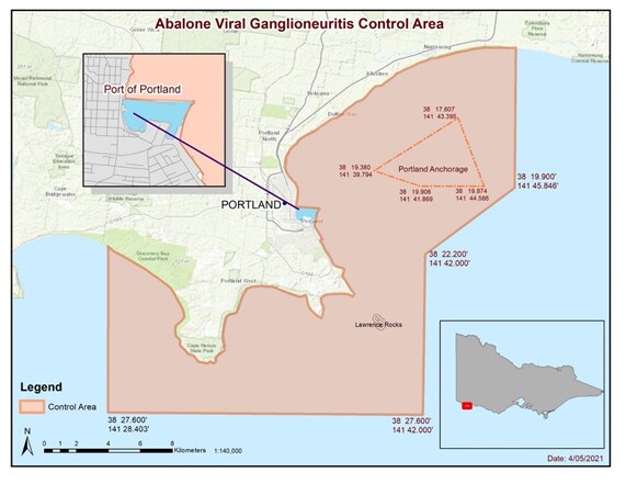 Deadly abalone disease AVG re-emerges off Victoria's south-west coast ...