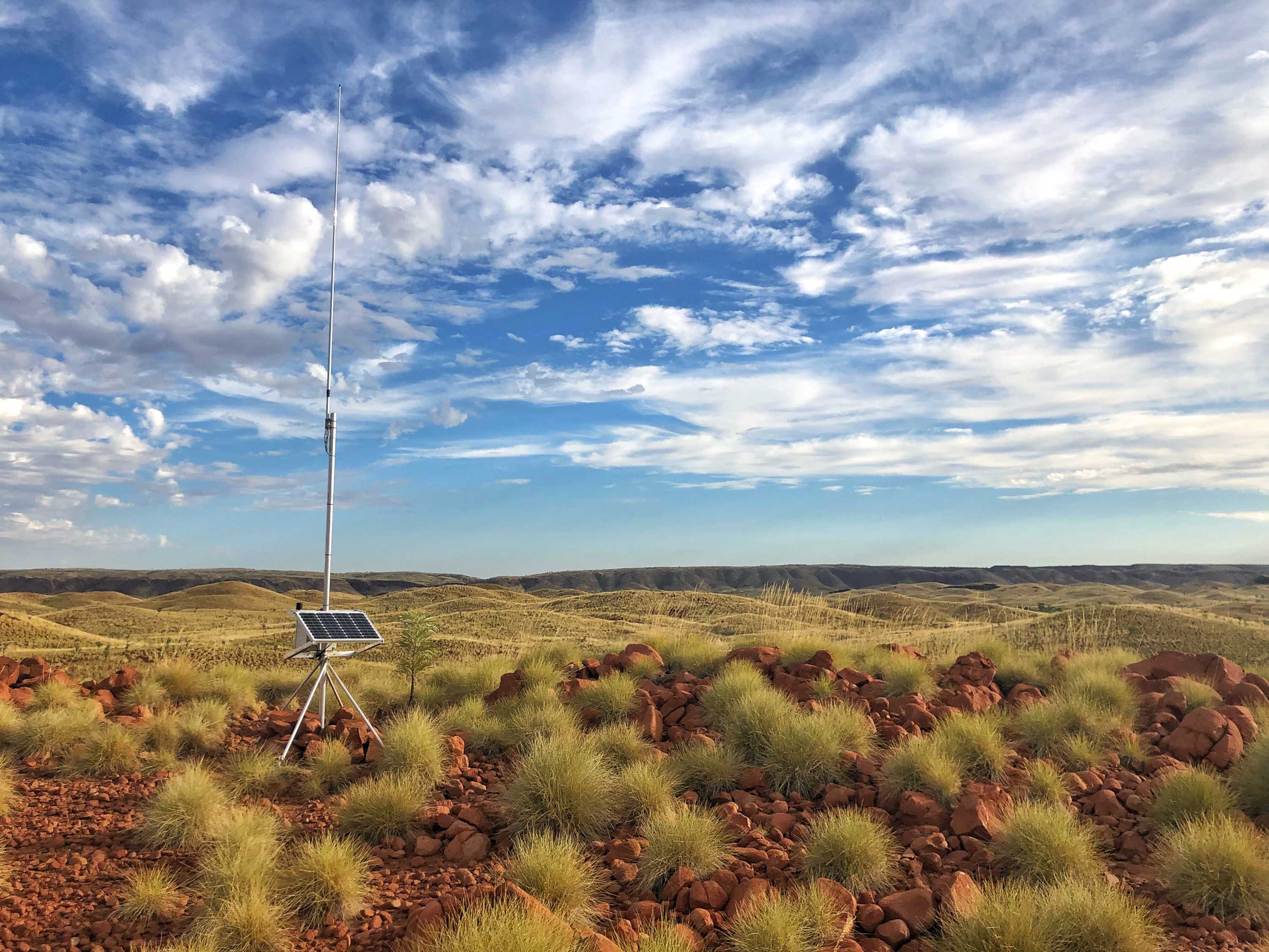 Artificial roosts built for ghost bats at risk of homelessness in ...