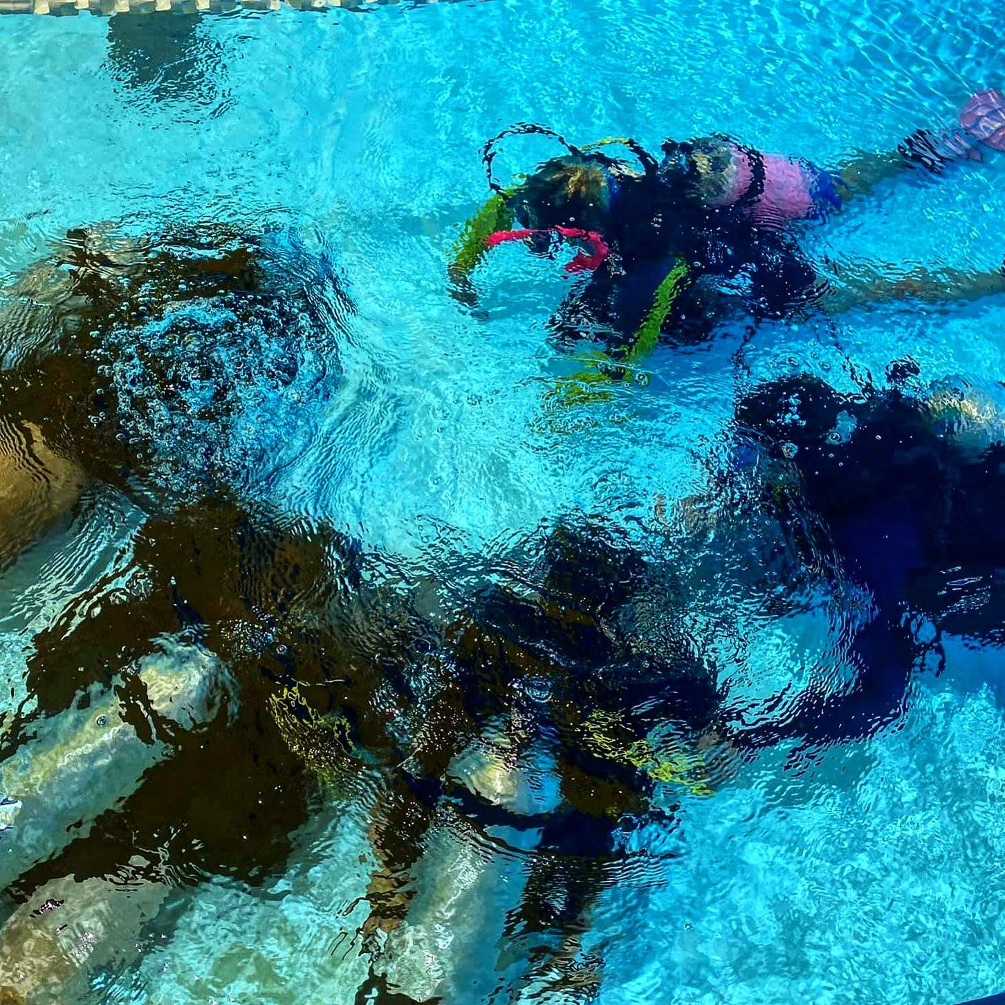 Couple shares love of scuba diving with remote towns far from the ocean ...