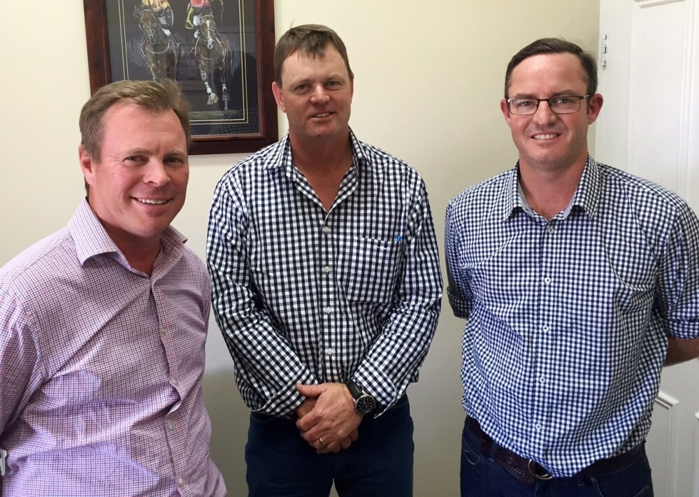 Cattle price still climbs higher, but will it last? - ABC News