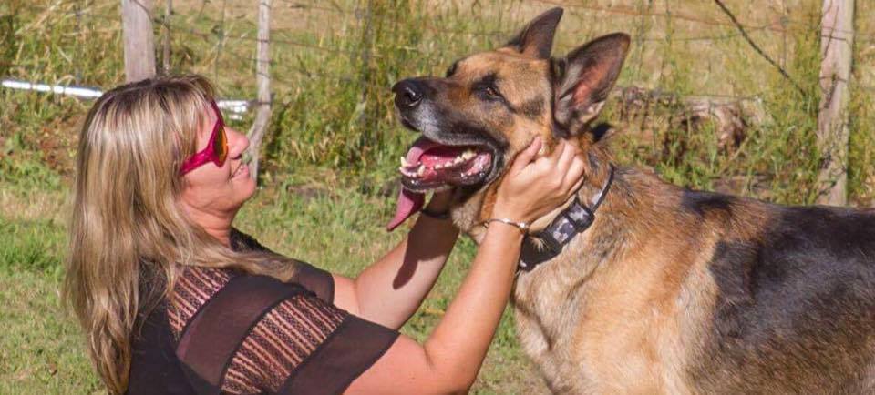 Kodi the dog put down after protecting property, campaign to change dog ...