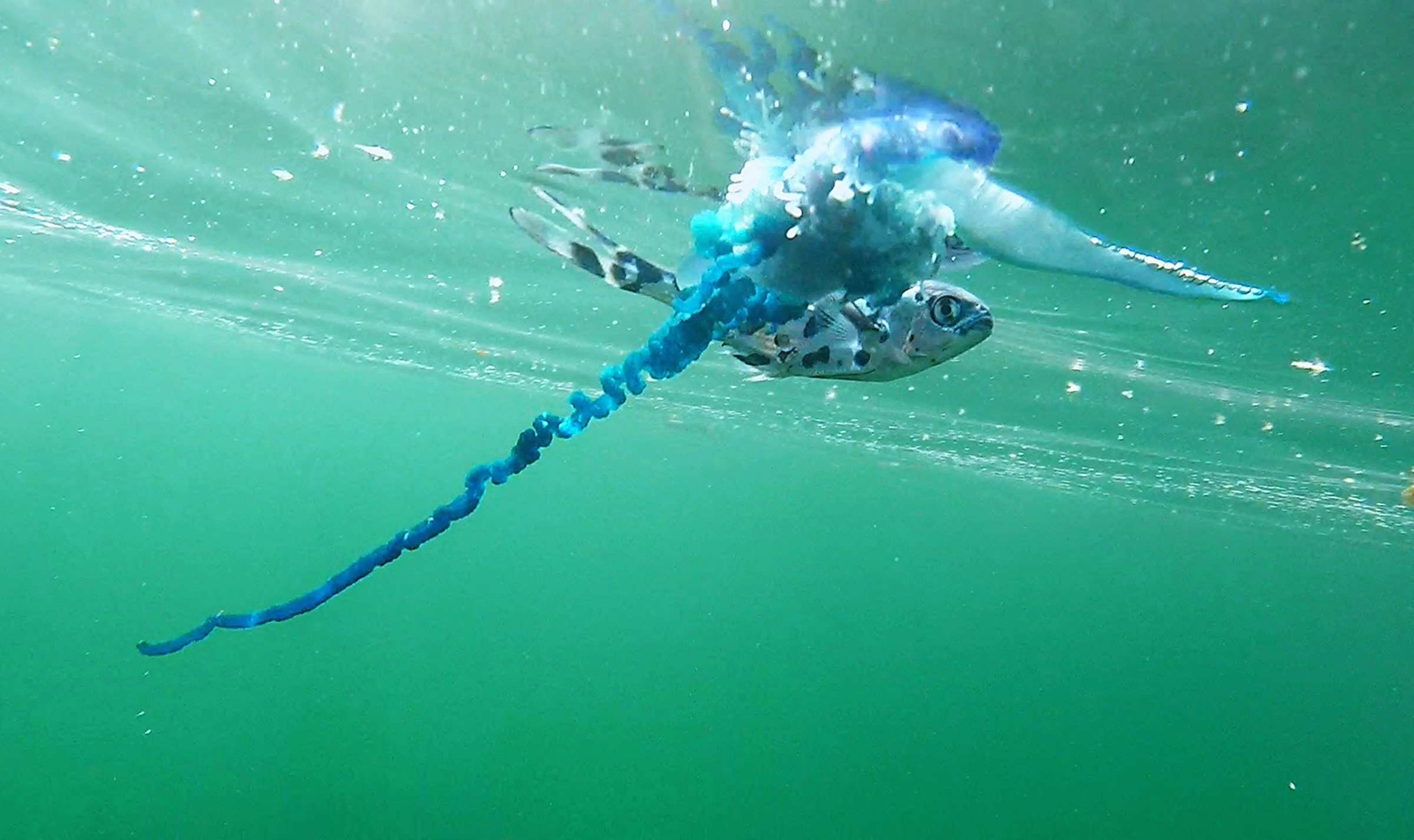 Overnights with Michael Pavlich and Rod Quinn - ABC listen