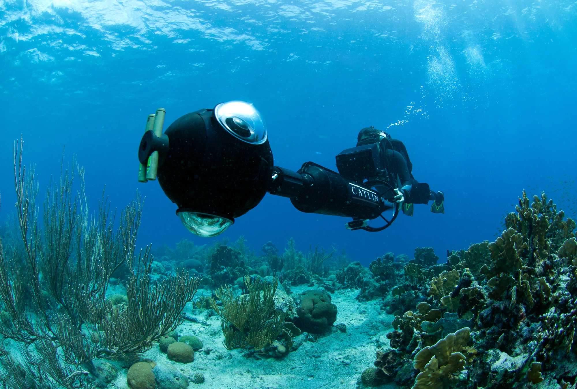Exhibition to show history of coral reefs - ABC listen