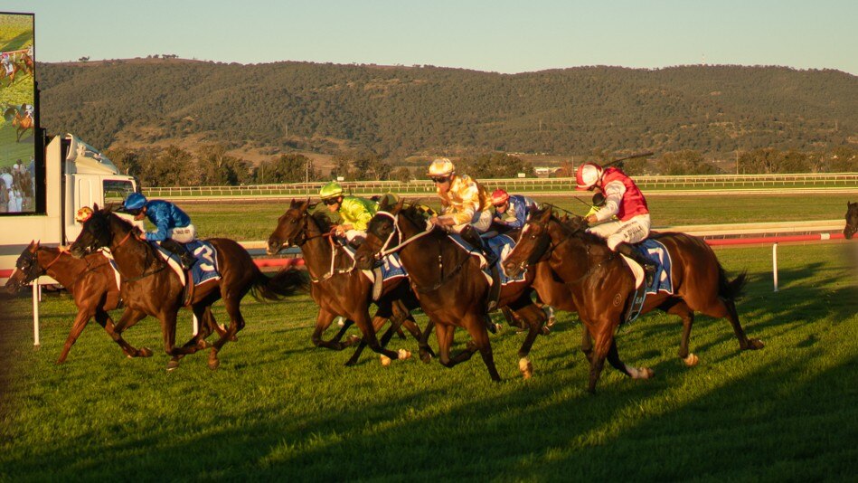 NSW government punts $67 million on regional racetrack upgrades - ABC News