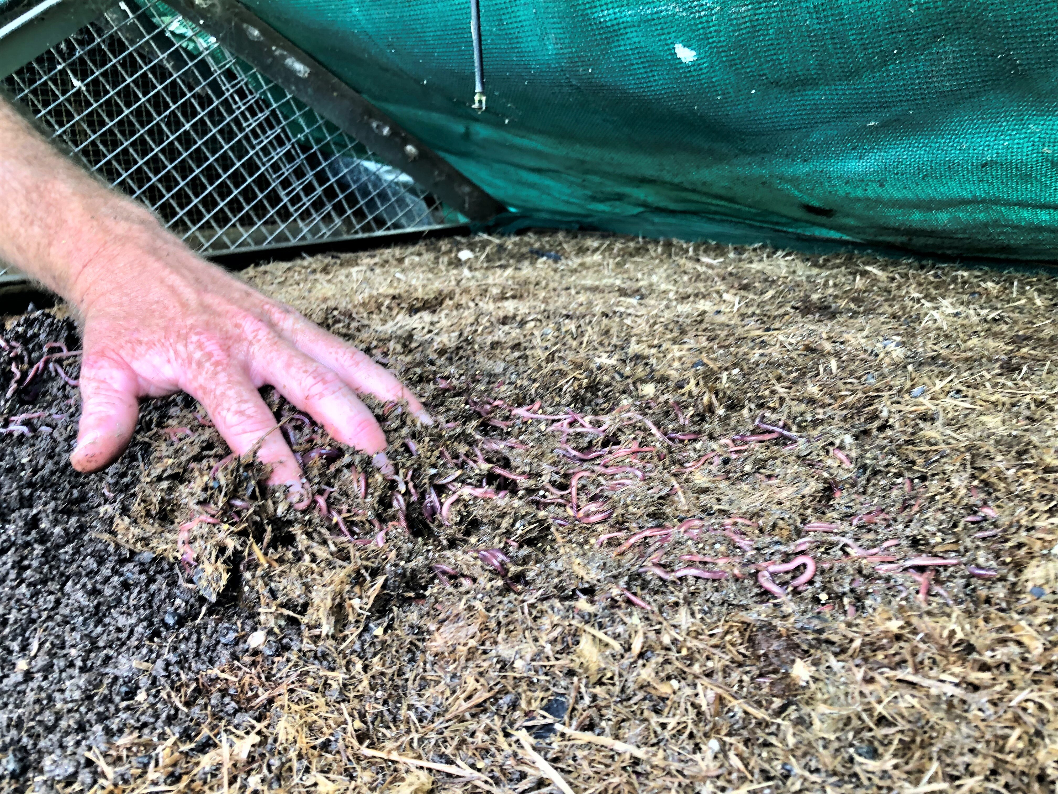 The impact of compost on climate change - ABC listen